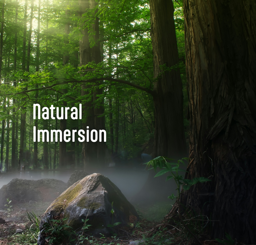 Natural Immersion | Lifewrite