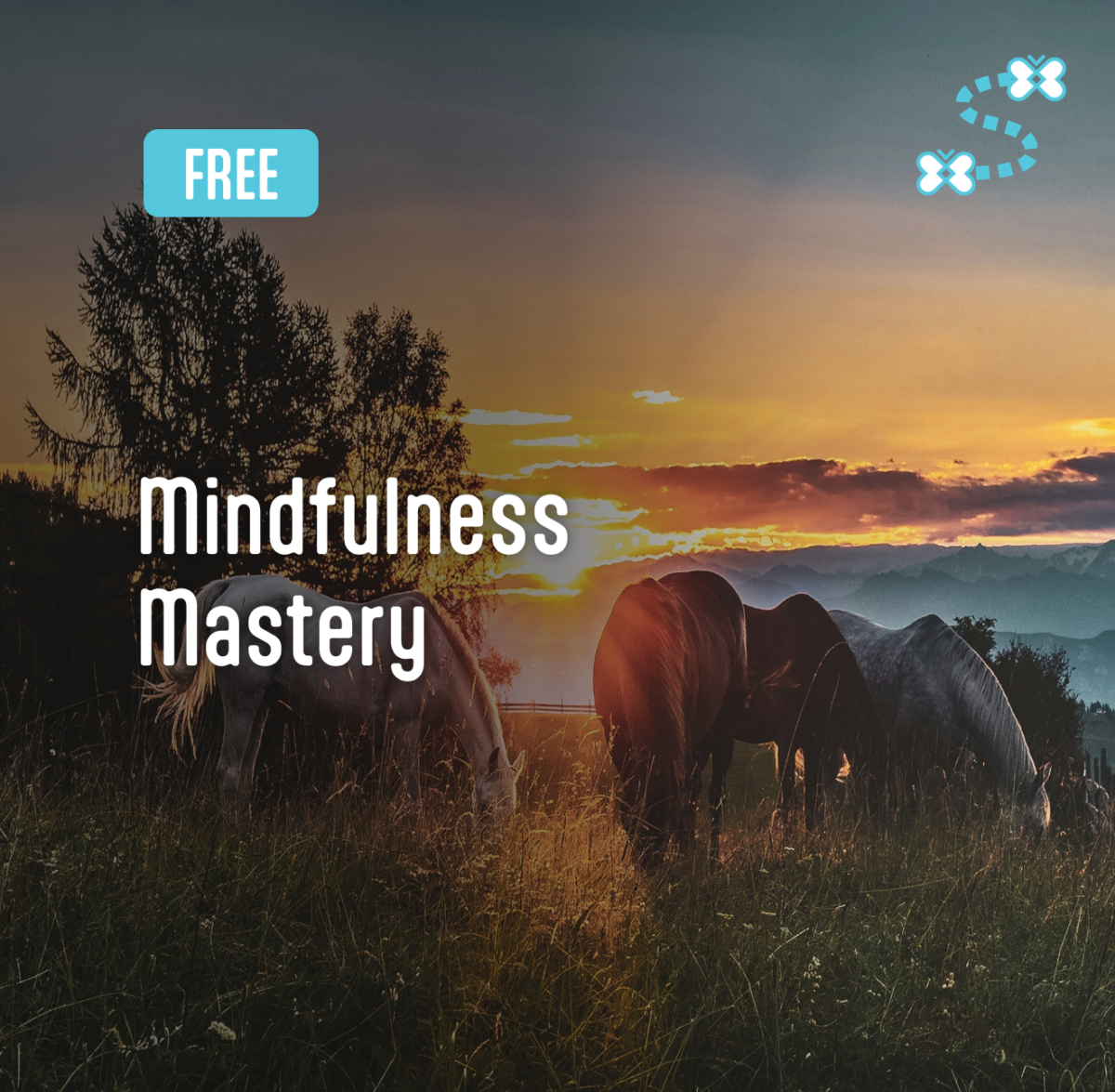 Writing Trails | Lifewrite